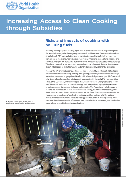 Increasing Access to Clean Cooking through Subsidies