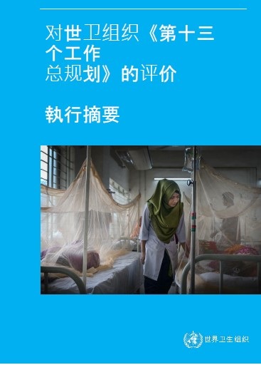 GPW13 Executive summary C