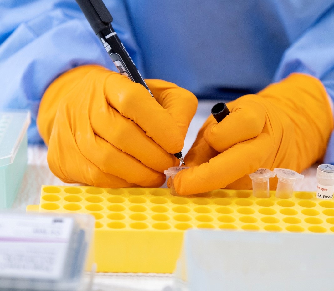 WHO Completes its Second Round of Global SARS-CoV-2 Testing External ...