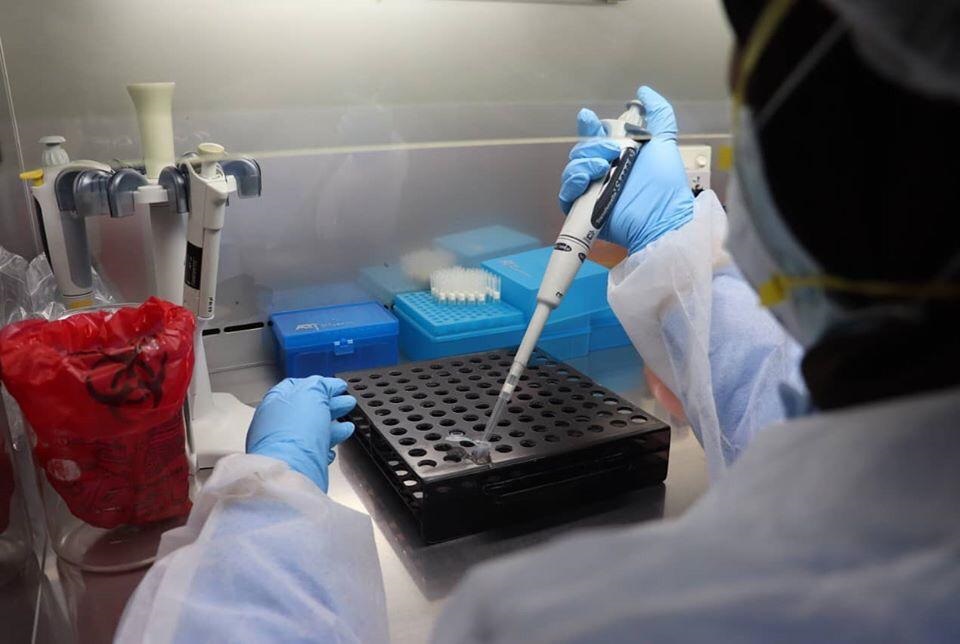 WHO Public Health Laboratories knowledge sharing webinar series ...