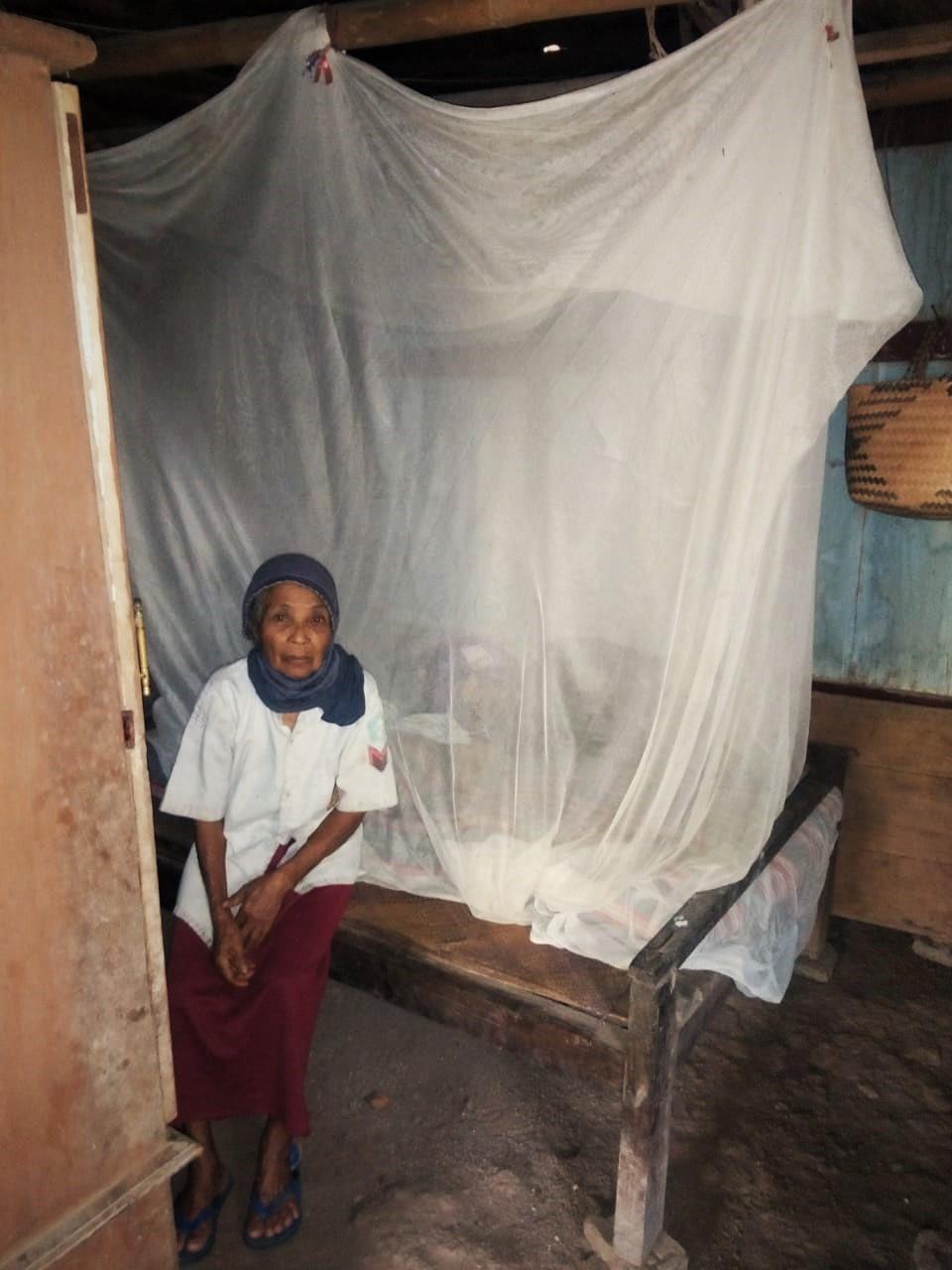 "Zero malaria starts with me”: history of malaria elimination in ...