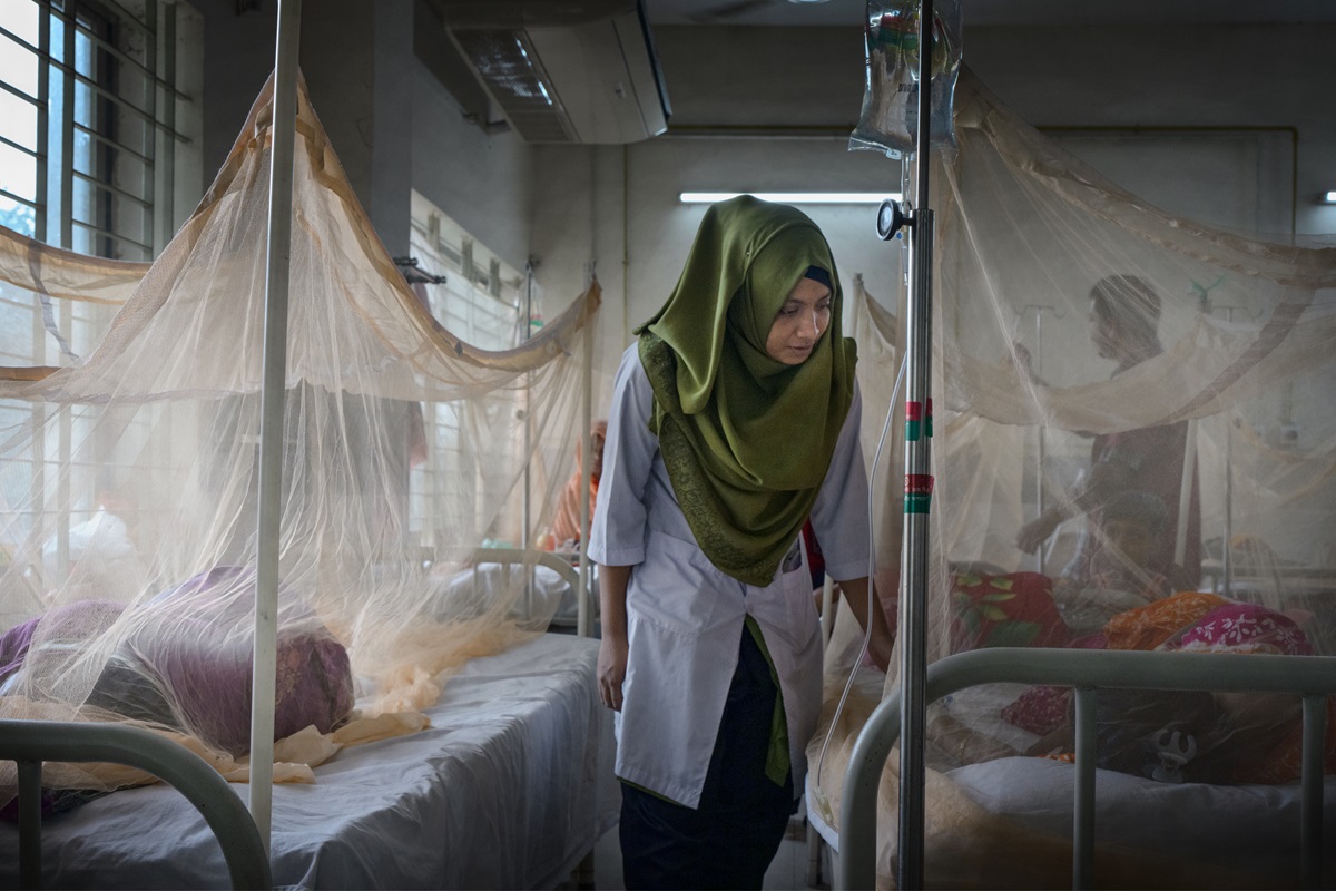 Coordinate and strengthen efforts to combat dengue: WHO