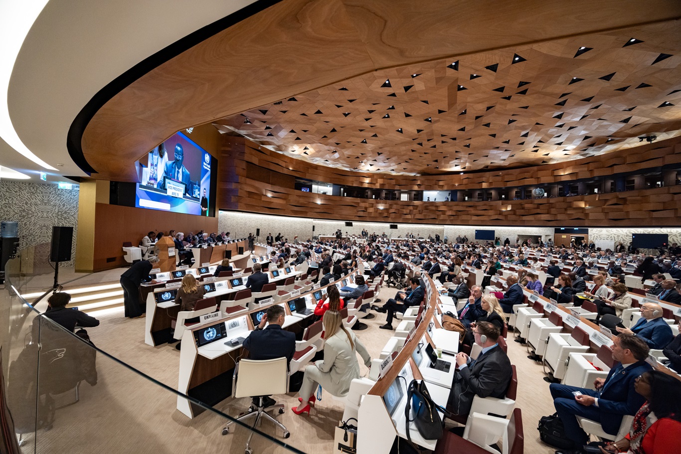 World Health Assembly
