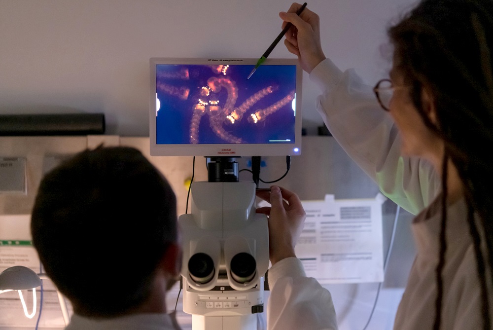 New frontiers in vector control