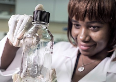 Global Malaria Programme