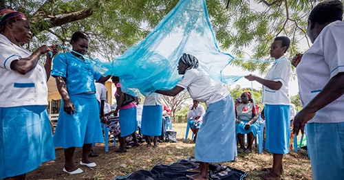 Global Malaria Programme