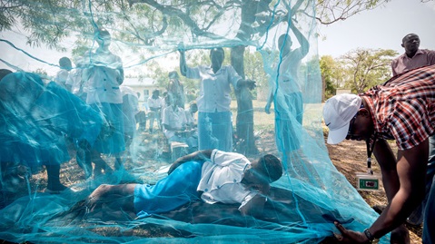 Supporting malaria vector control