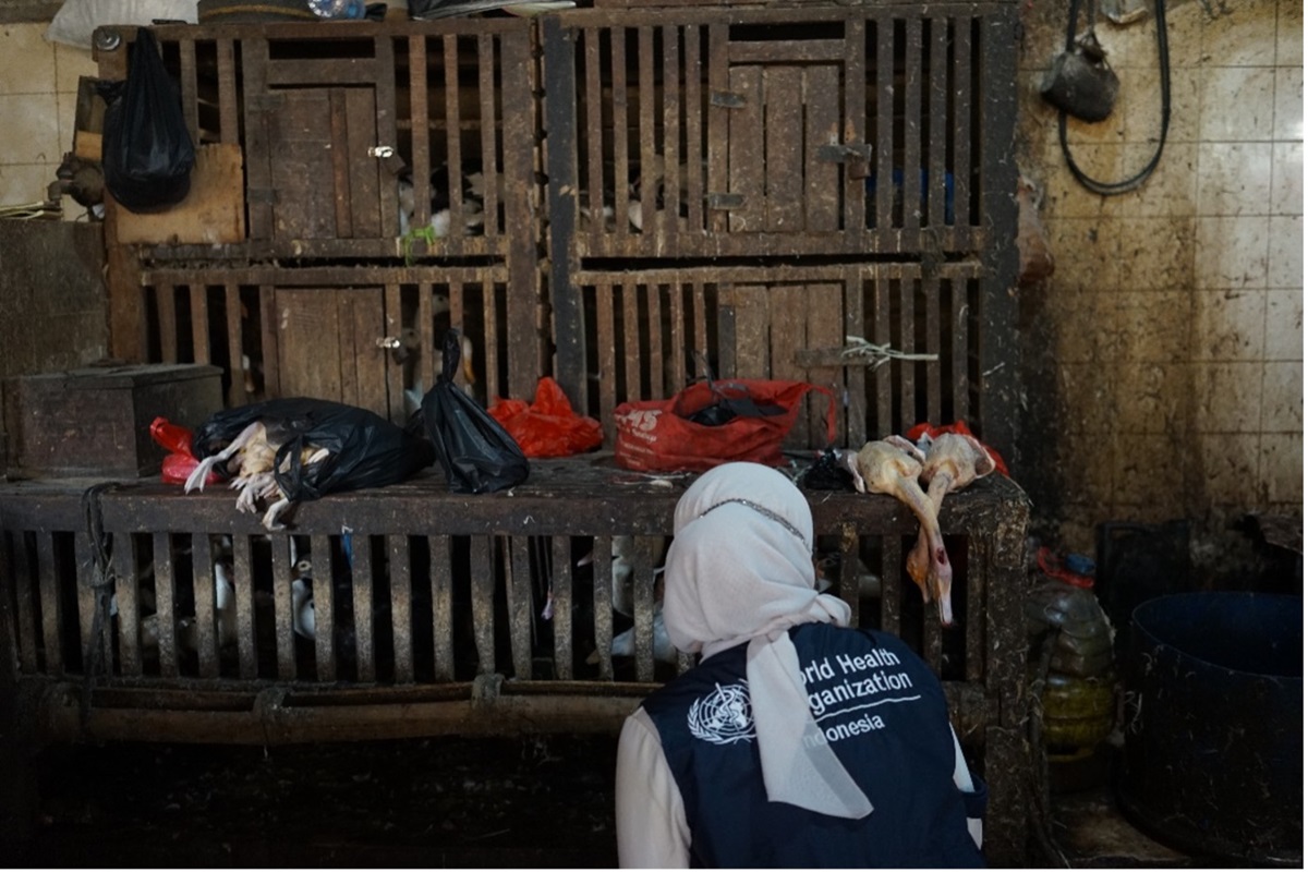 From fragmented reporting to tested readiness in Indonesia