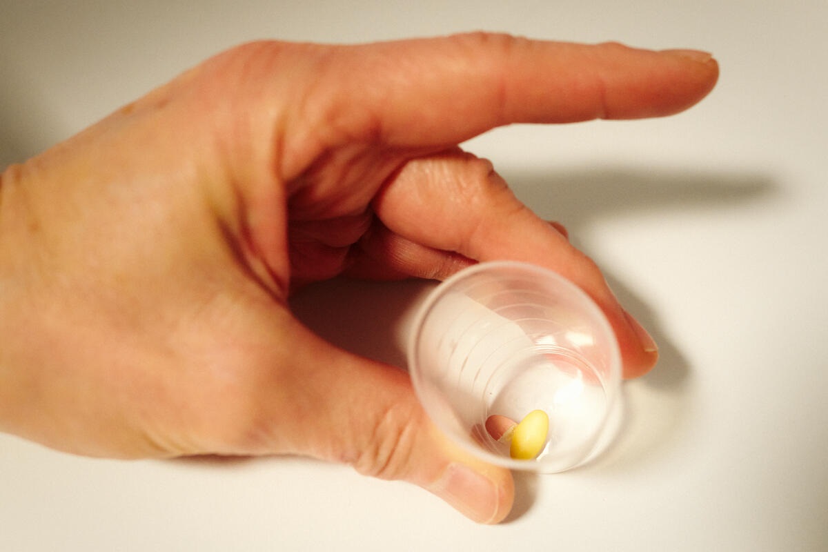 WHO publishes full national policy guidance to support equitable access ...