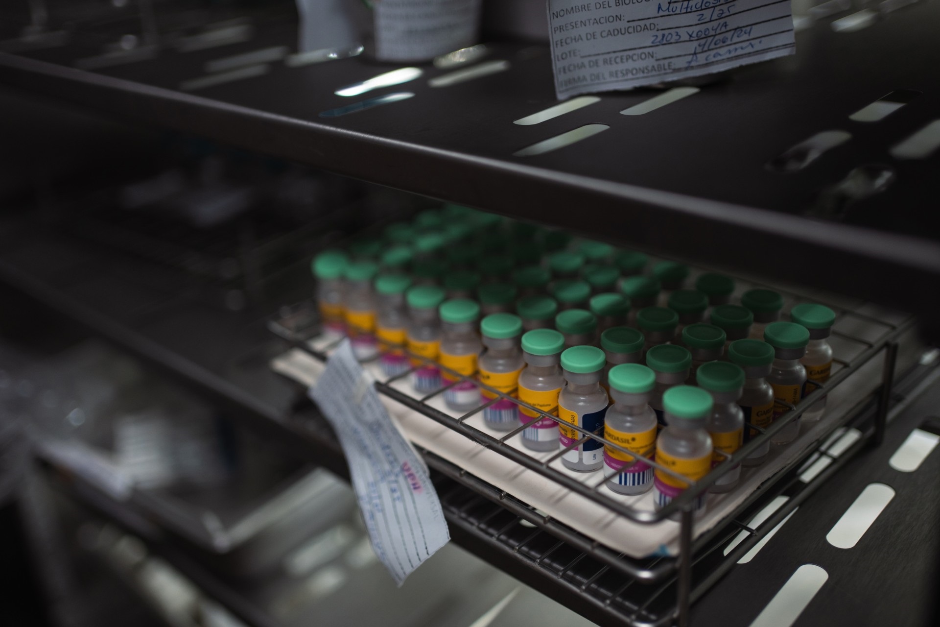 Regulation and Prequalification