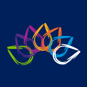 Lusophone countries collaboration to eliminate HIV, hepatitis, STIs and TB