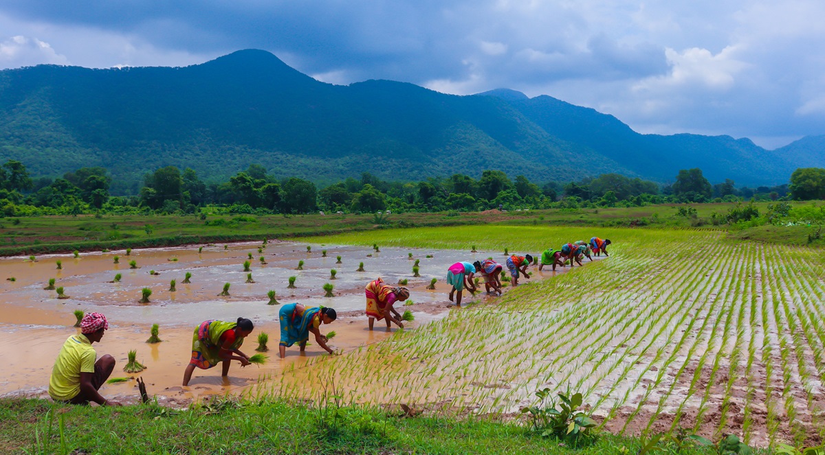 Promoting biodiversity conservation for climate and health