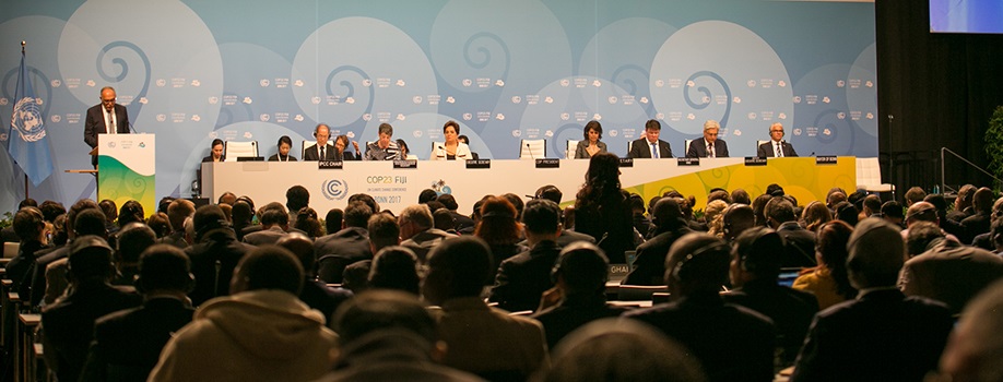 Climate change and Health at COP23