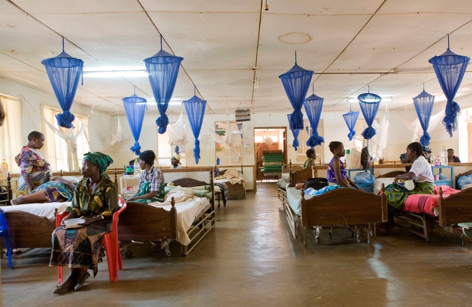 The Alliance for action on climate change and health working groups