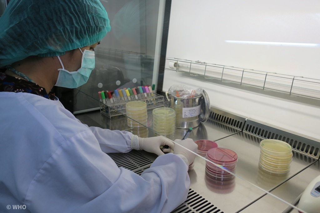 Strengthening global surveillance of antimicrobial resistance and use