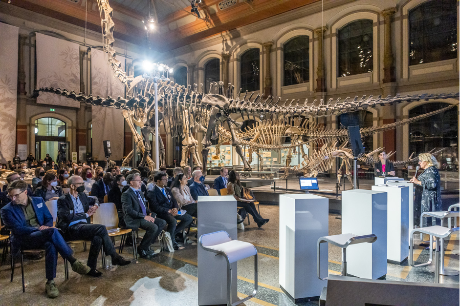 One Health Joint Plan of Action launched and presented by WHO and the ...