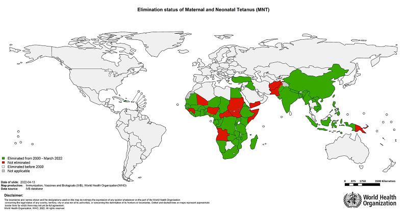 Progress towards global MNT elimination