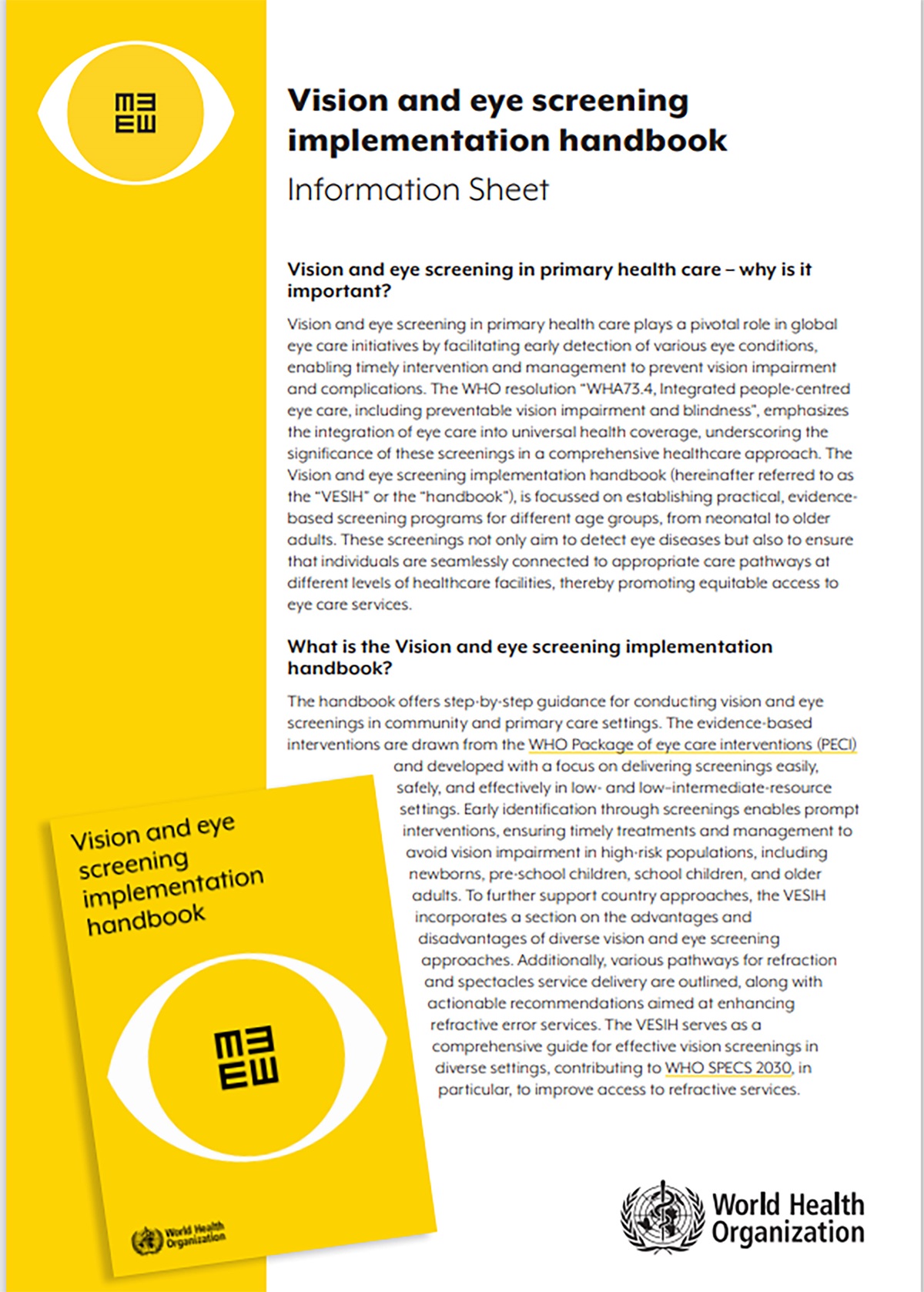Vision and eye screening implementation handbook: information sheet