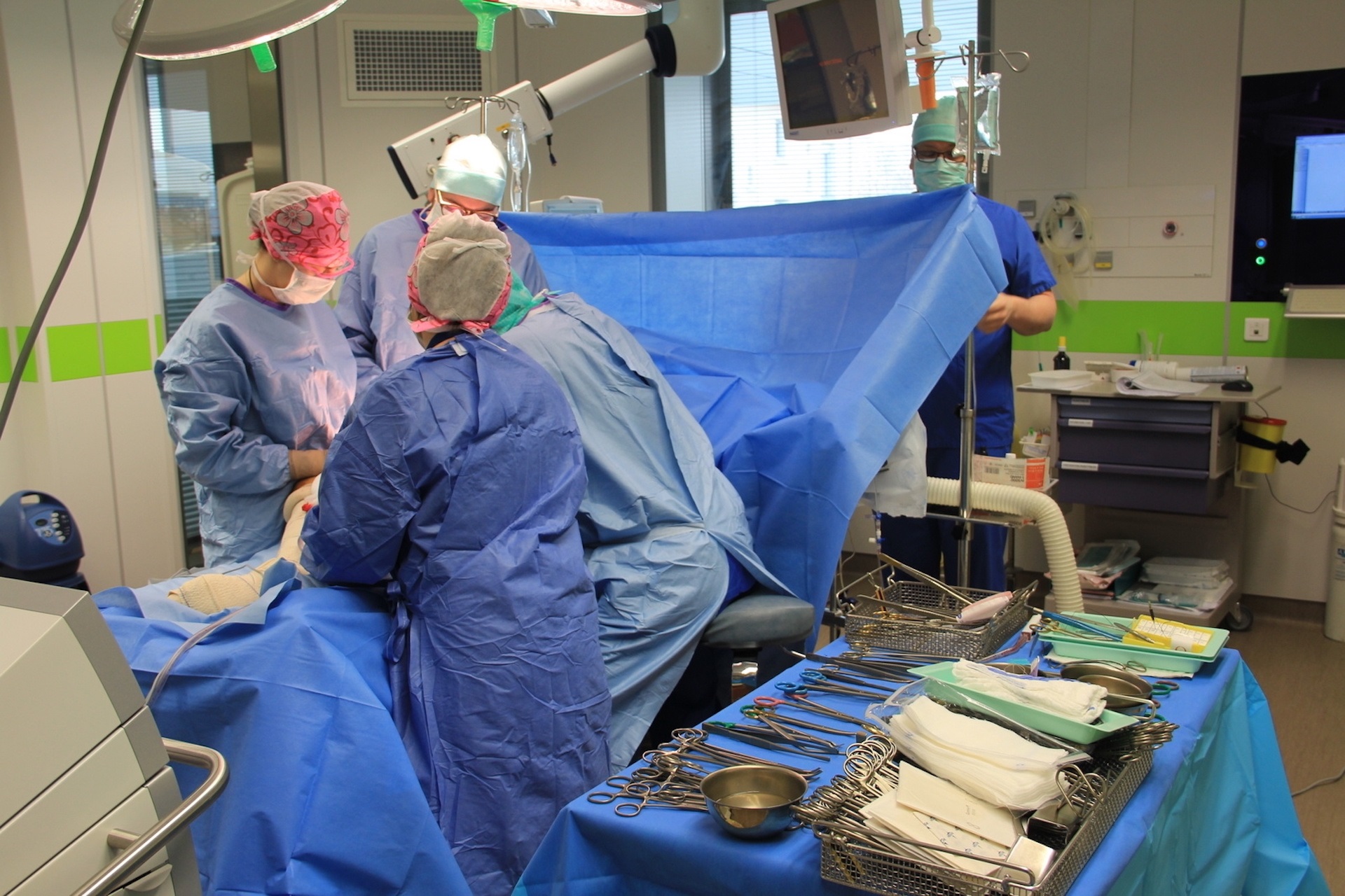 Infection prevention and control