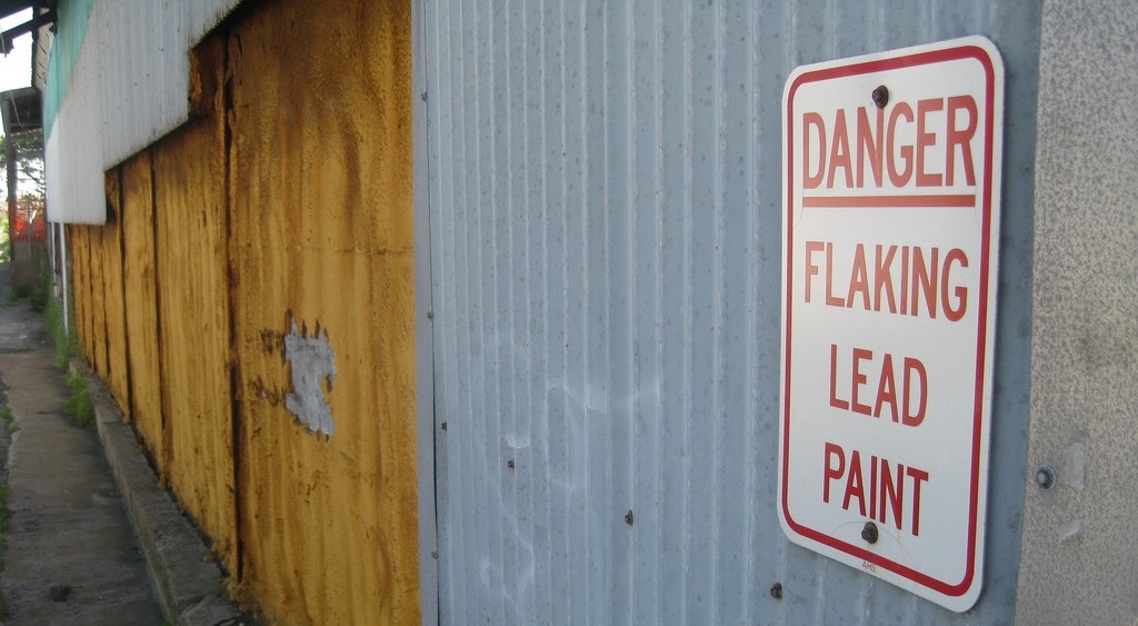 International Lead Poisoning Prevention Week 2021