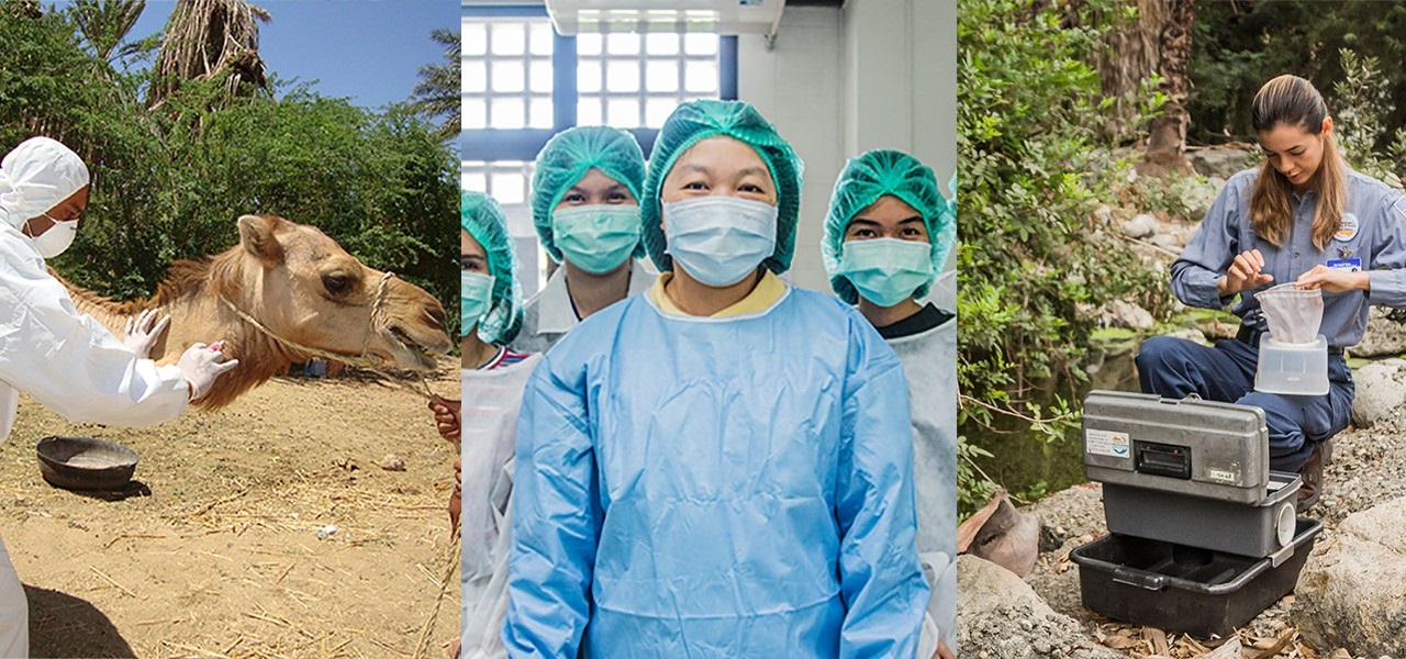 Global Laboratory Leadership Programme (GLLP)