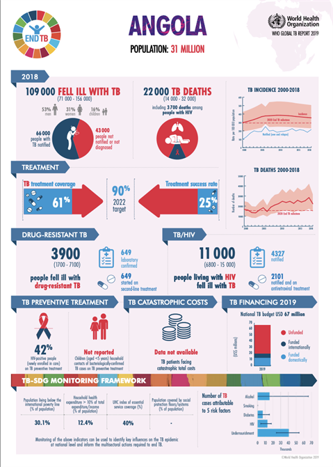 Profiles for 48 high TB burden countries
