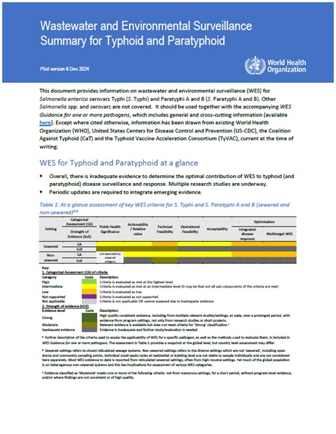 Wastewater and Environmental Surveillance: Summary for Typhoid and ...