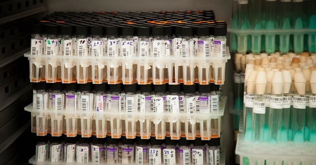 International Coordinating Group (ICG) on Vaccine Provision