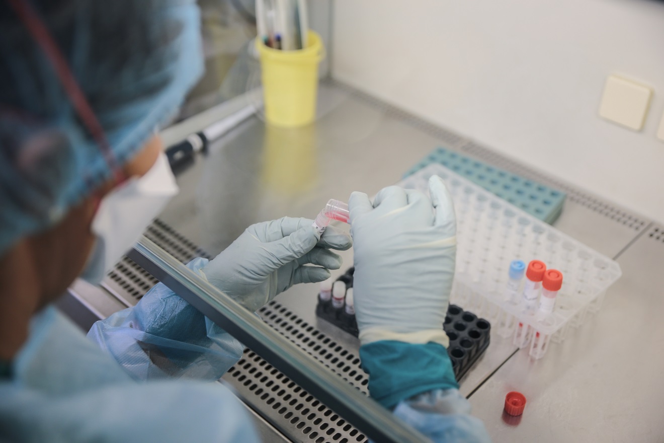 World Health Organization (WHO)