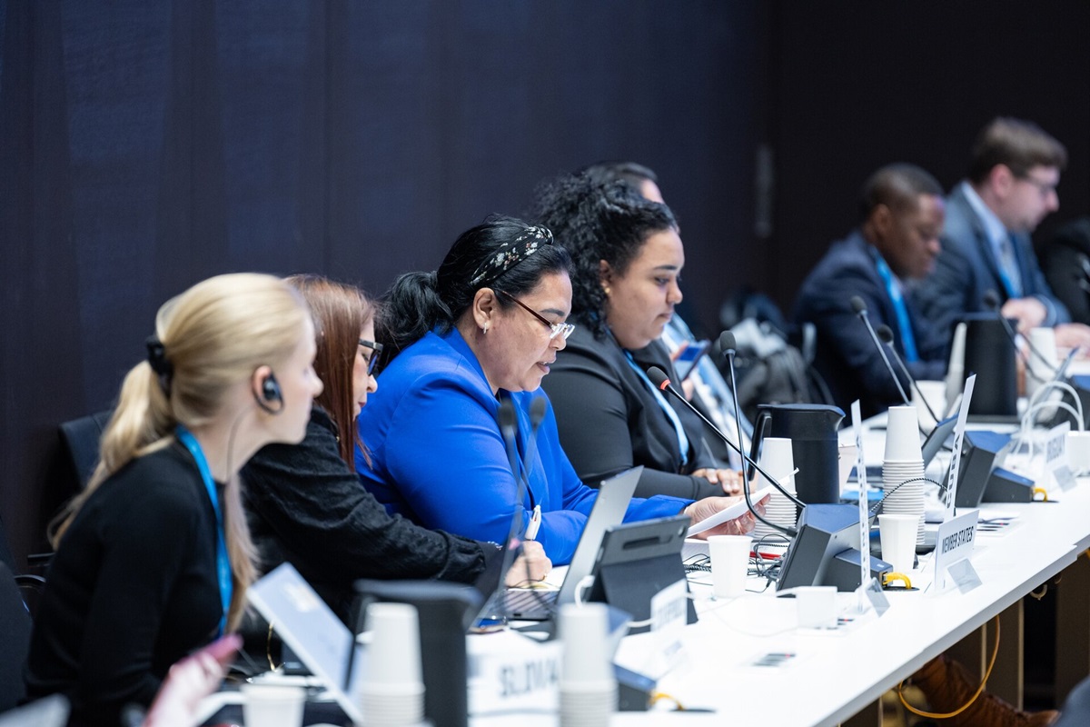Ninth meeting of the Intergovernmental Negotiating Body (INB) for a WHO ...