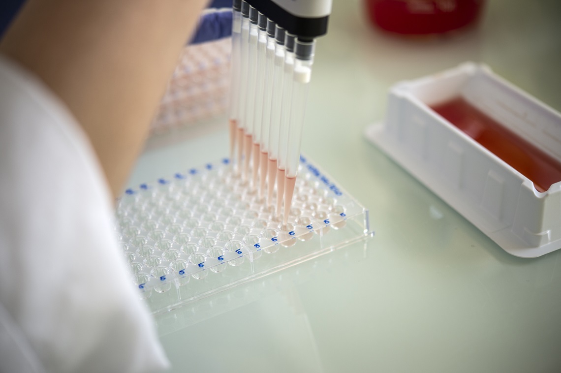 World Health Organization South-East Asia | World Health Organization