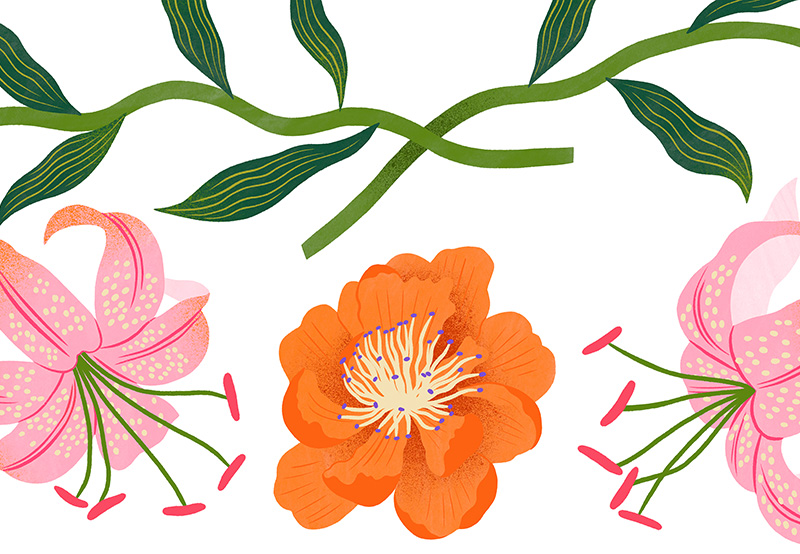 72nd session of the WHO Regional Committee for Europe