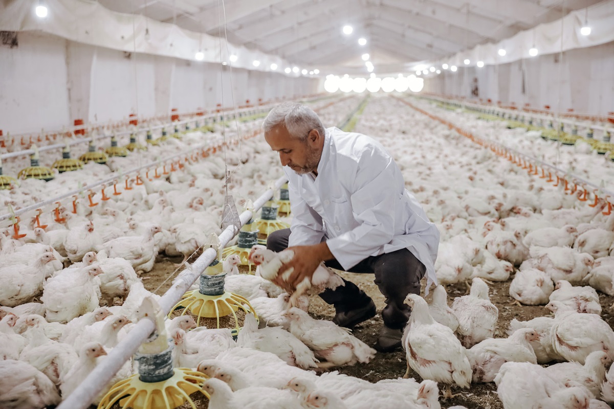 La recherche d’une convergence entre la santé humaine, animale et ...
