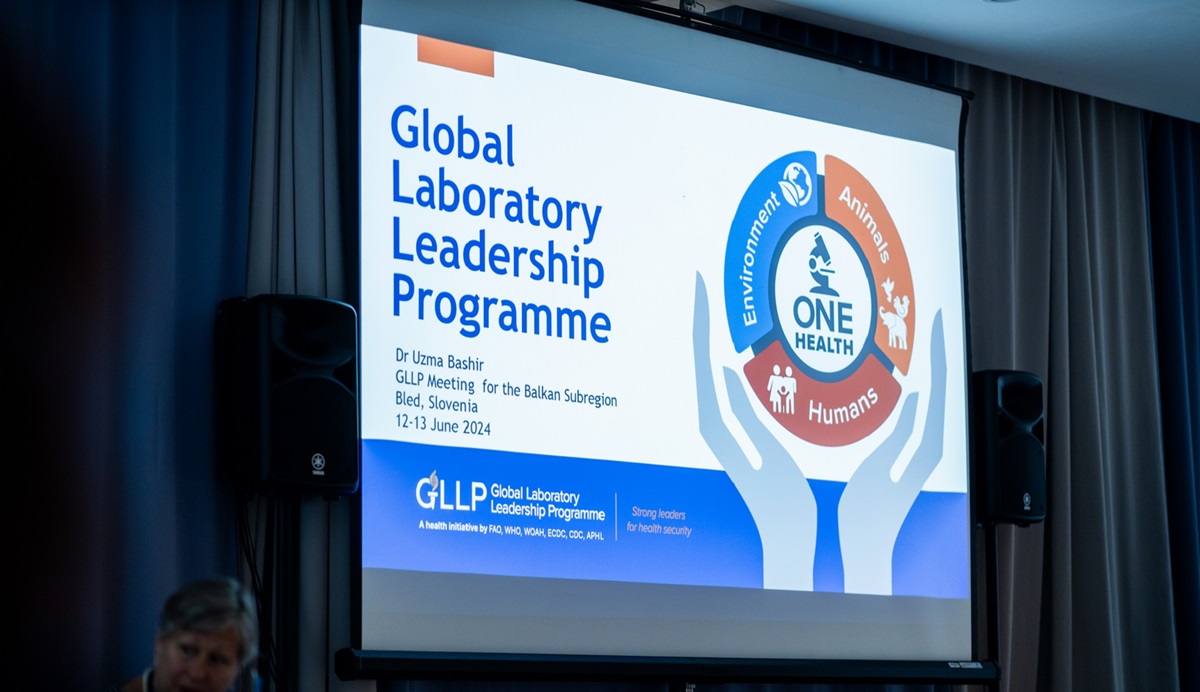 Meeting on implementation of the Global Laboratory Leadership Programme ...
