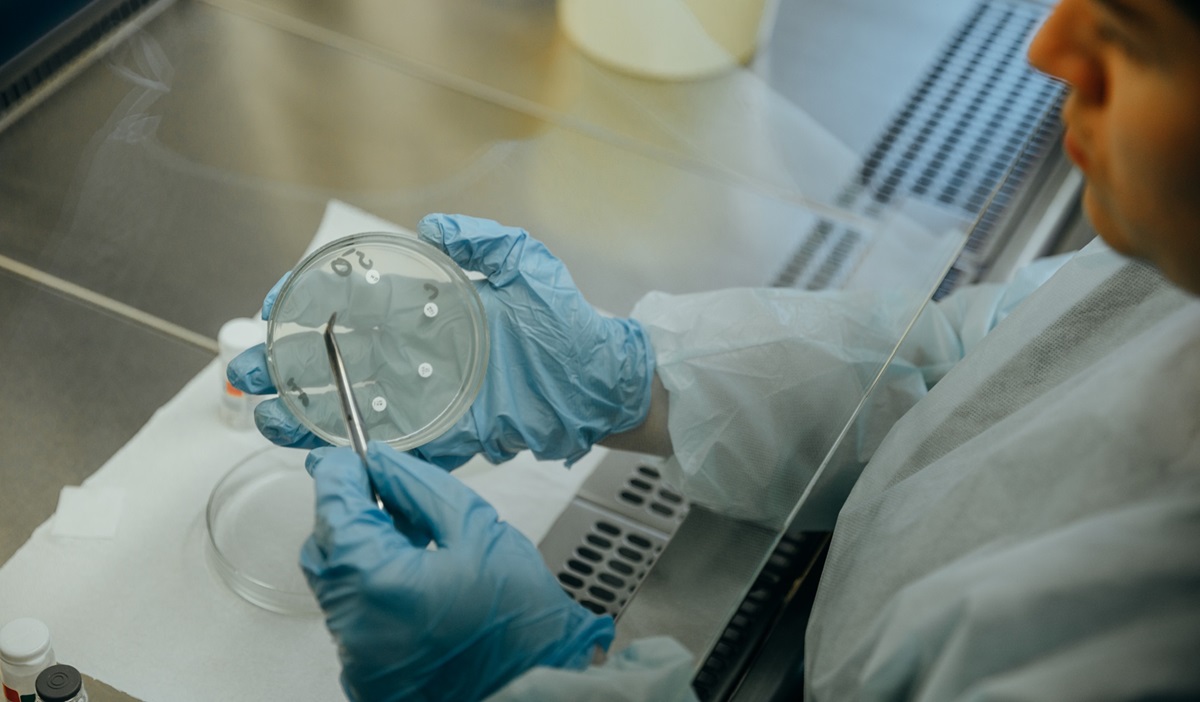 Accelerating Progress Against Antimicrobial Resistance In The Who