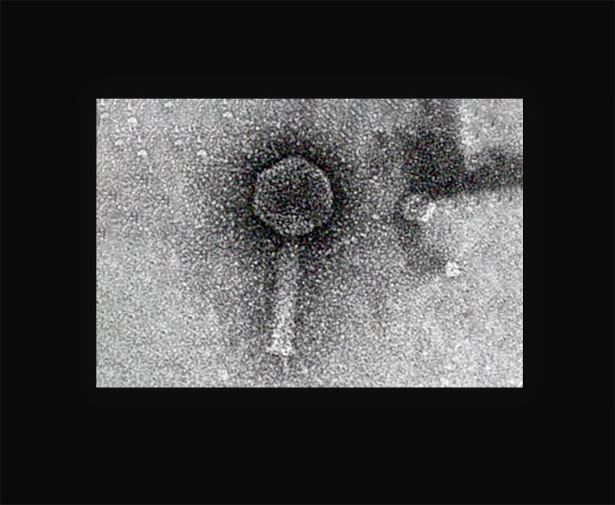 Webinar – Towards building the evidence for broader use of ...