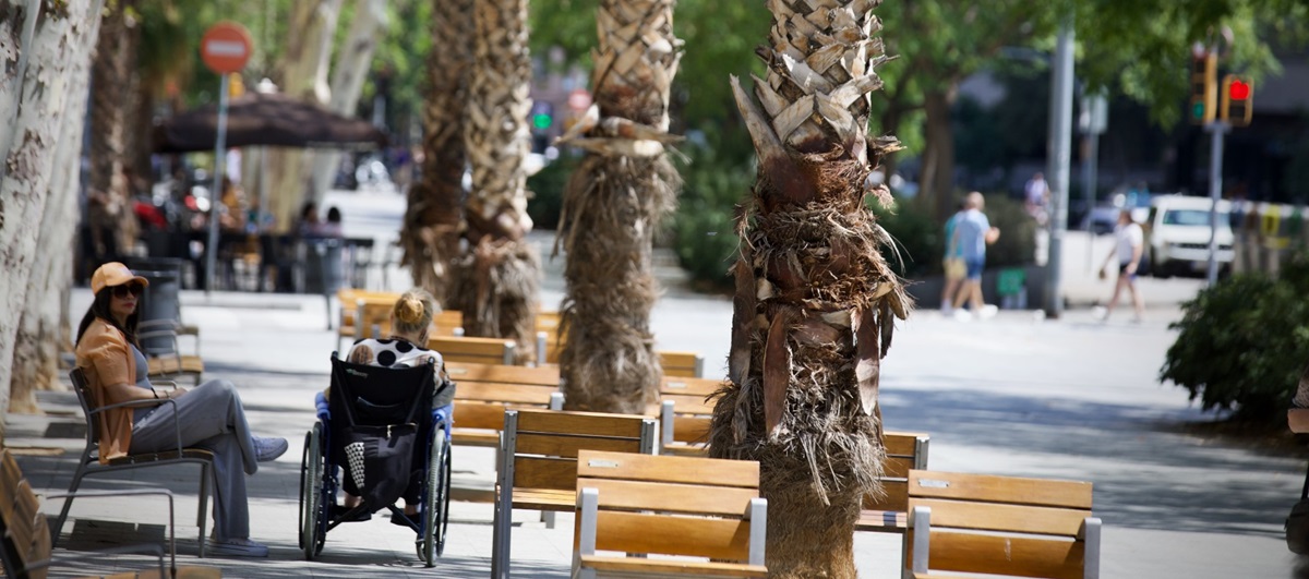 Monaco leads inclusive innovation for people with disabilities at the ...